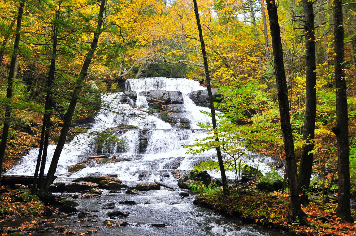Hornbecks Creek / Indian Ladder Falls | Dingman Ferry, Pennsylvania ...